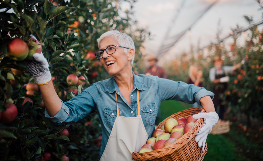 High Interest Checking | Elements Financial