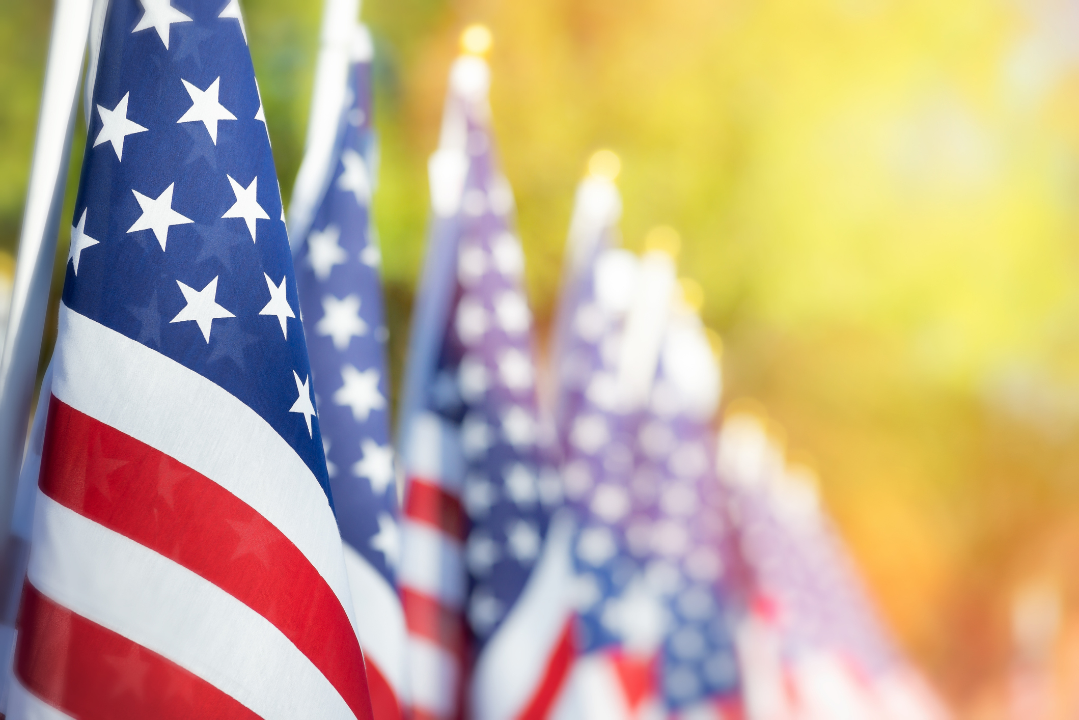 Important Hours - Veteran's Day 2021 | Elements Financial